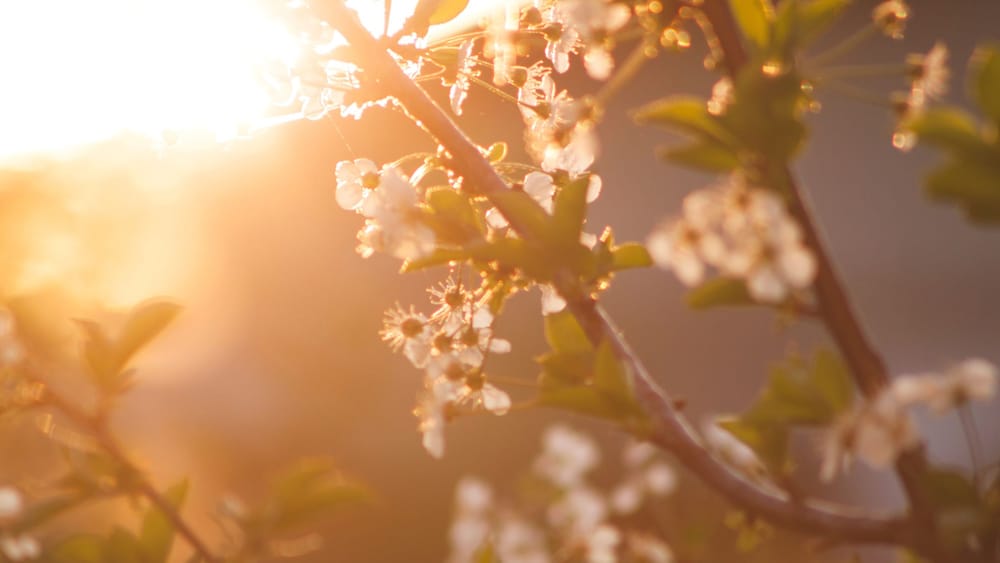 Sacred Rage: Transform Your Anger into a Catalyst for Growth [Complete ...