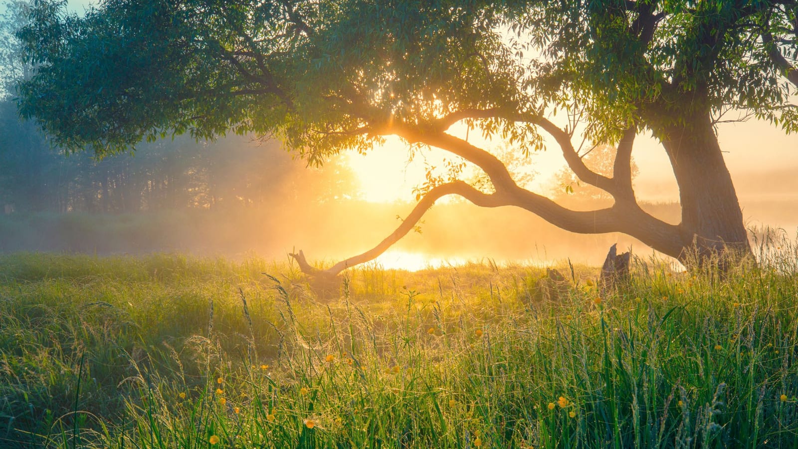 Sacred Rage: Transform Your Anger into a Catalyst for Growth [Complete ...